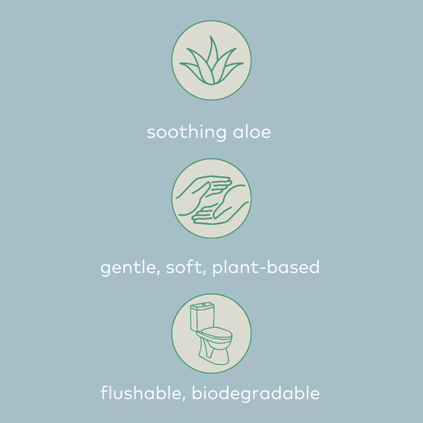 Clean AF Wipes – Awkward Essentials